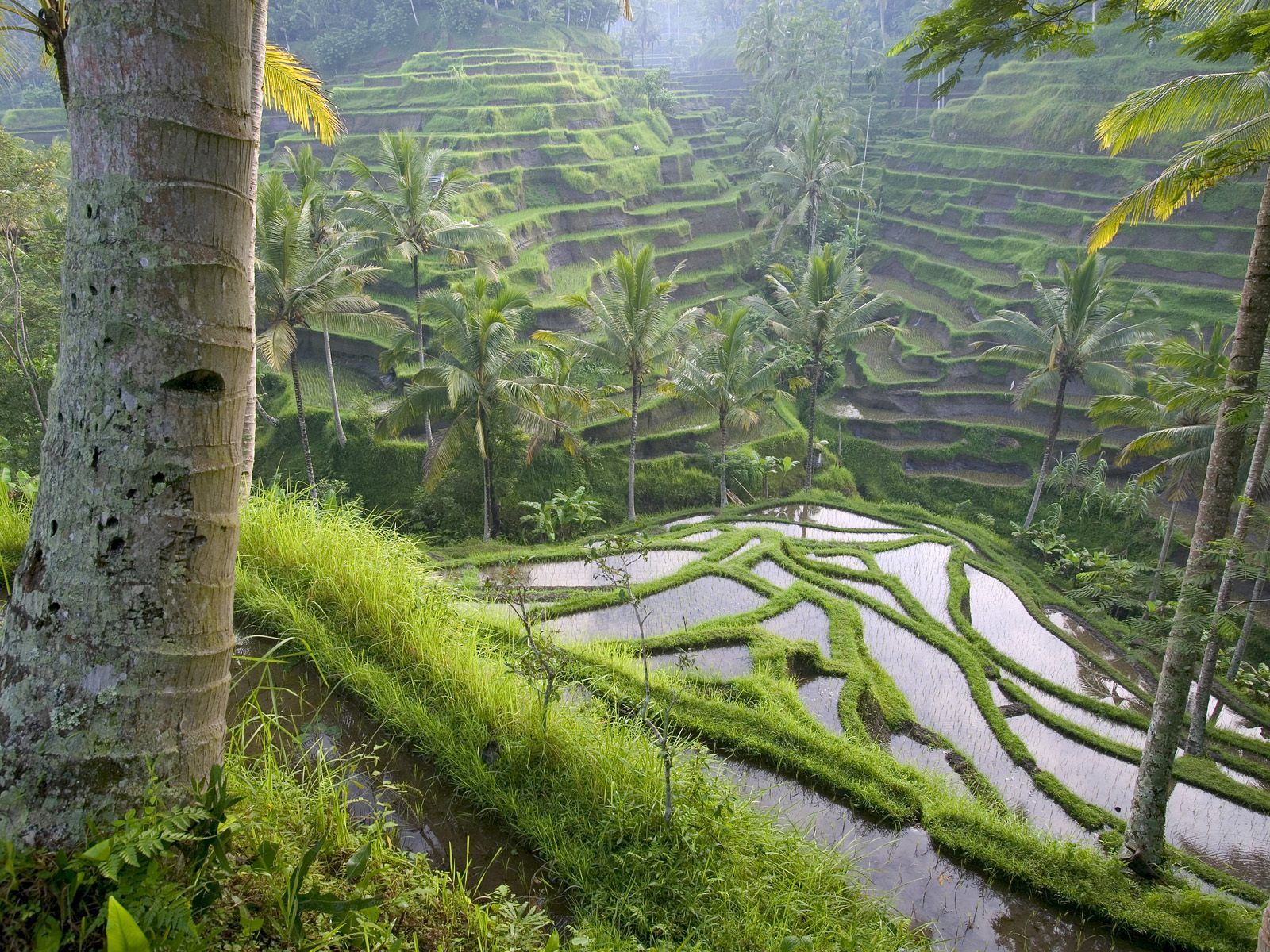 Bali Nature Wallpaper compilation HD ~ Nature Wallpapers