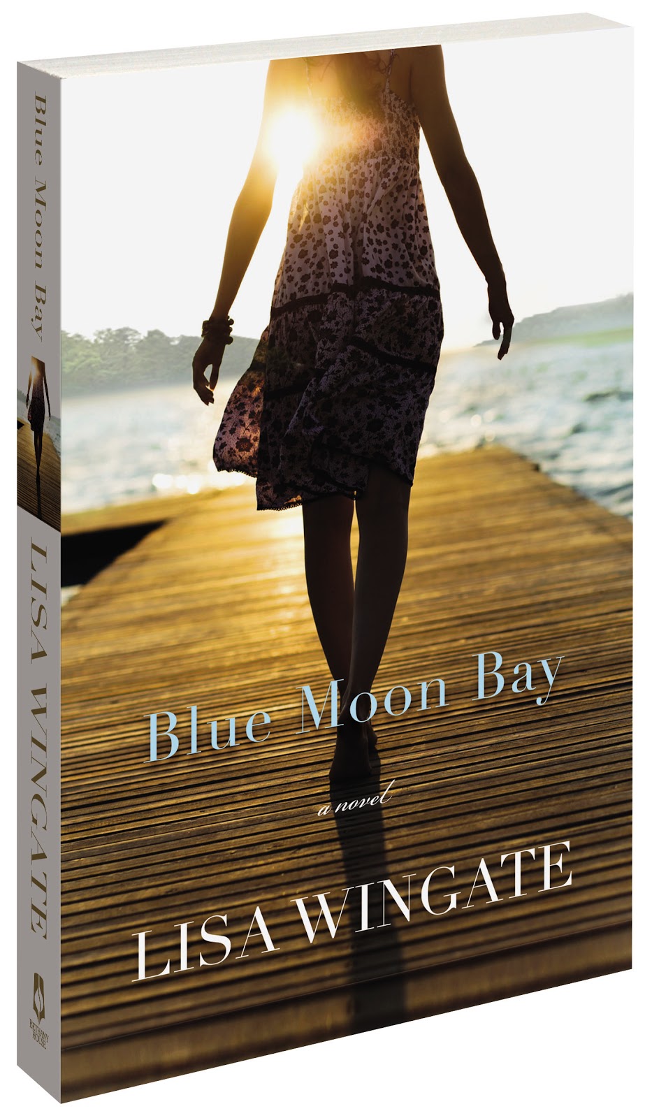 Bethel Baptist Library