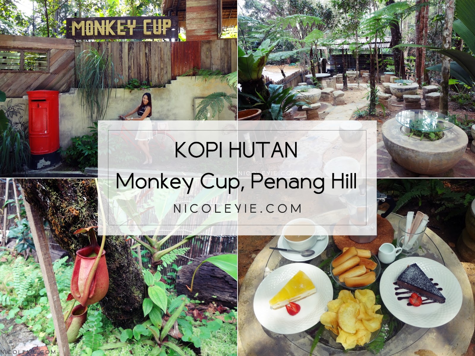 Kopi Hutan - Enjoy Hot Coffee in a Windy Weather - the Perfect Getaway ...