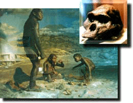 Belajar Bersama: Sejarah Indonesia "Manusia Purba Homo Soloensis"