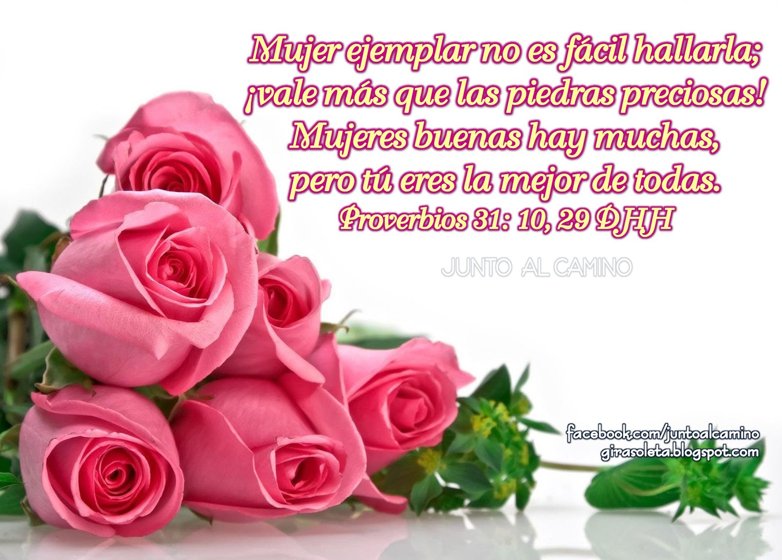 Junto al Camino: TEXTOS BÍBLICOS EN IMÁGENES PARA LA MUJER