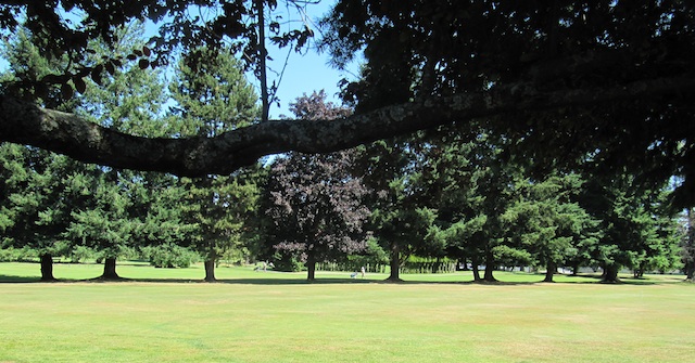 The Comox Valley - A Pictorial View: Town of Comox - Recreation and Sports