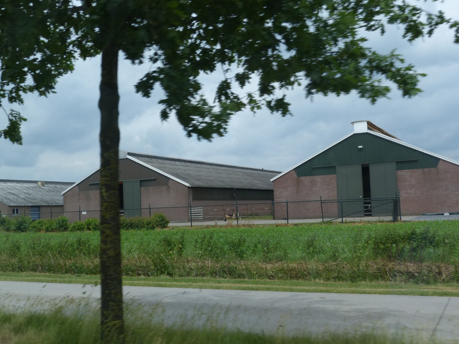 Ray's Retirement: Venlo - Cafe Backus