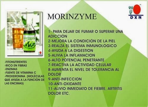 CAFE SALUDABLE DXN: MORINZYME