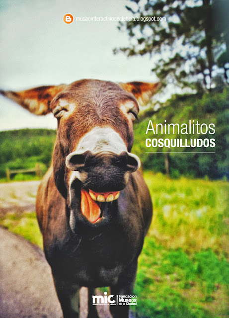 Museo Interactivo de Ciencia