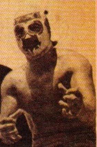 ¿QUIEN ES QUIEN? LUCHA LIBRE: febrero 2016