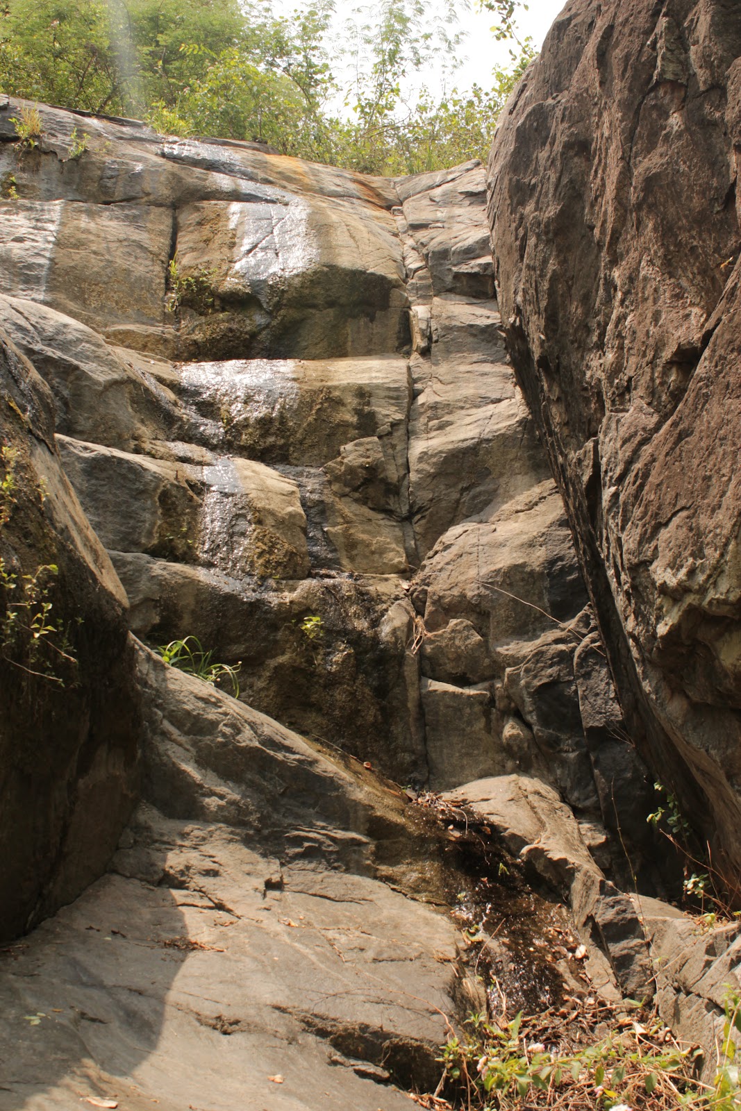 Trekking: Kollimalai, Namakkal District