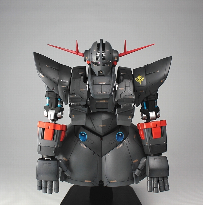 Build and Shoot: ZEONG: CUSTOM BUILD