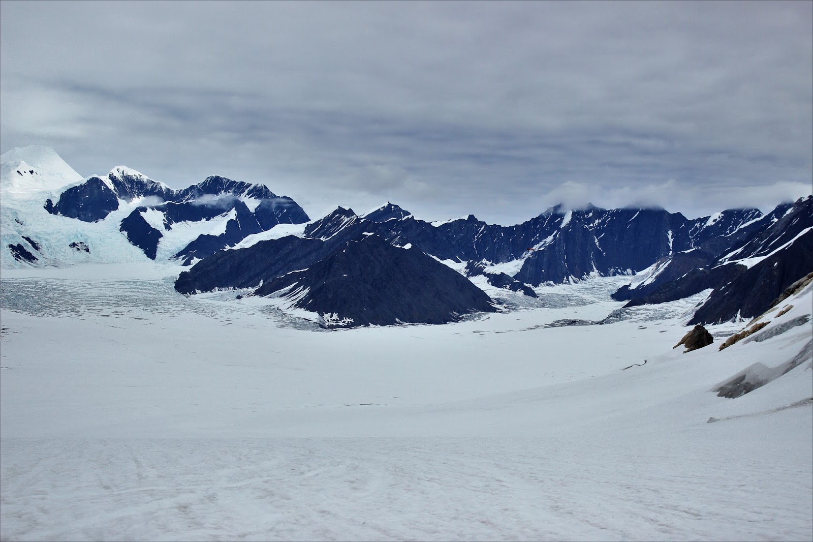 Souvenir Chronicles: ALASKA! TAKING A TAXI TO THE TOP OF DENALI AND ...