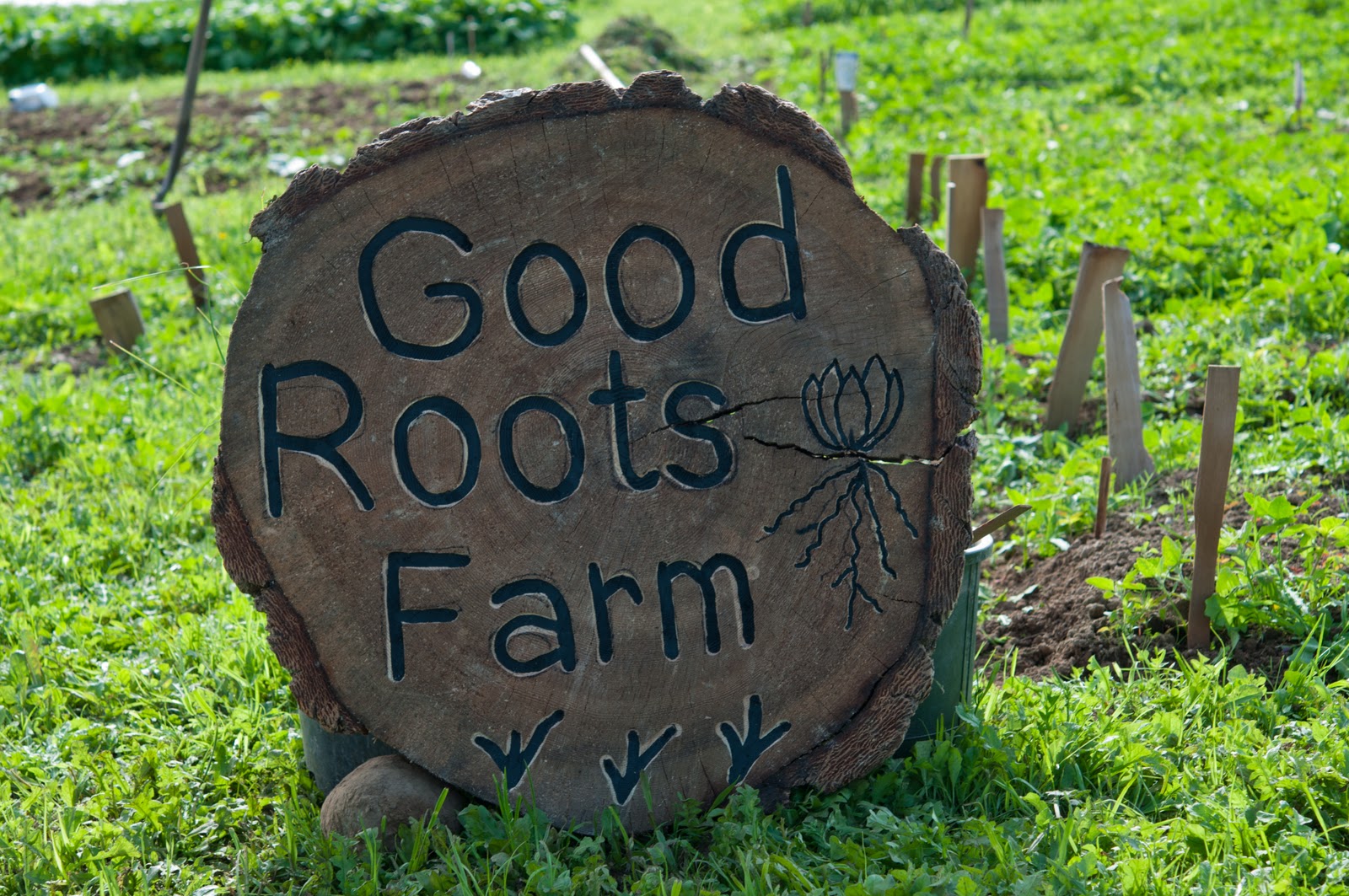 Good Roots Farm