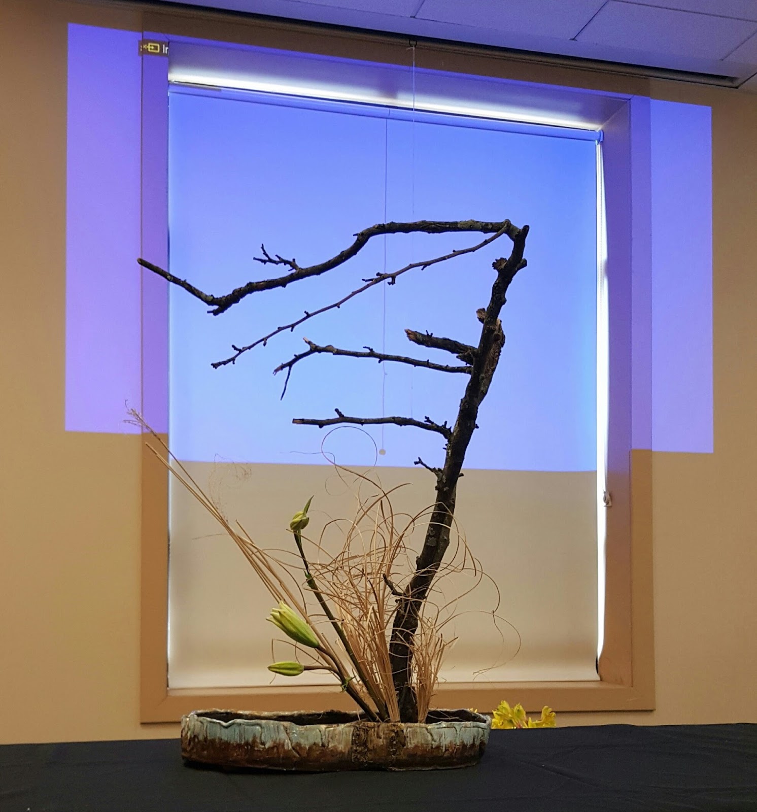 Flowers,Ikebana and I: My presentation-"Ikebana and Containers"
