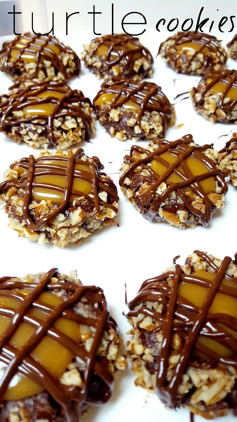 Turtle Cookies - Lou Lou Girls