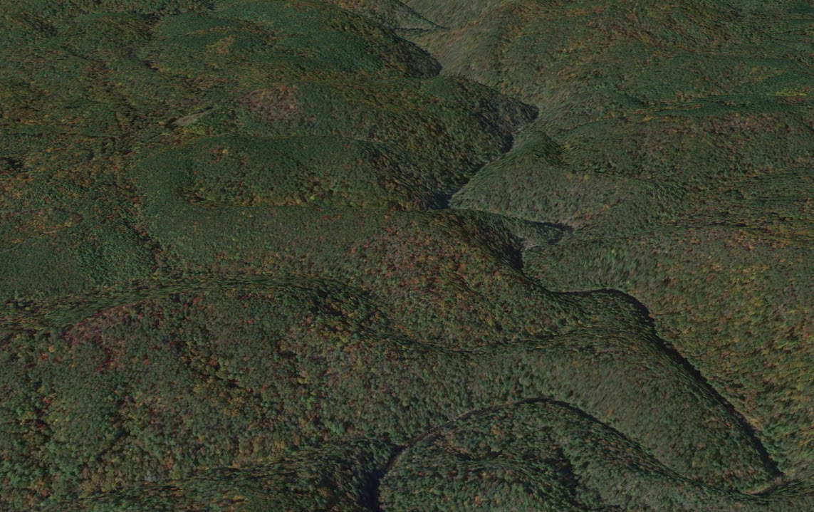 Conasauga River | Cohutta Wilderness (Pic Heavy) | GON Forum