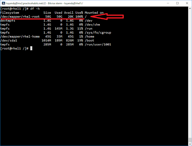 RHEL root folder is full
