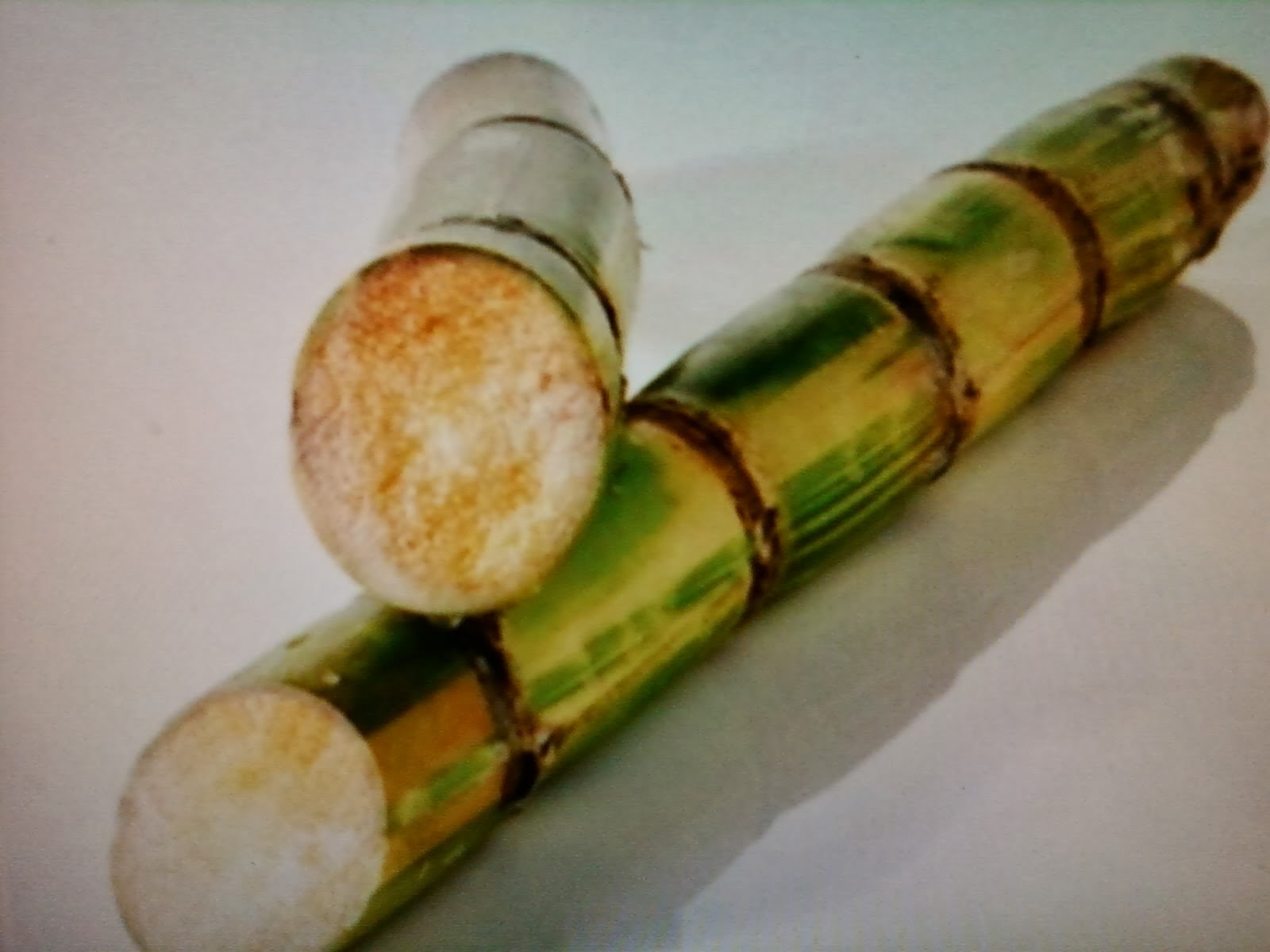 info angsa: Manfaat Dari Tebu Untuk Kesehatan