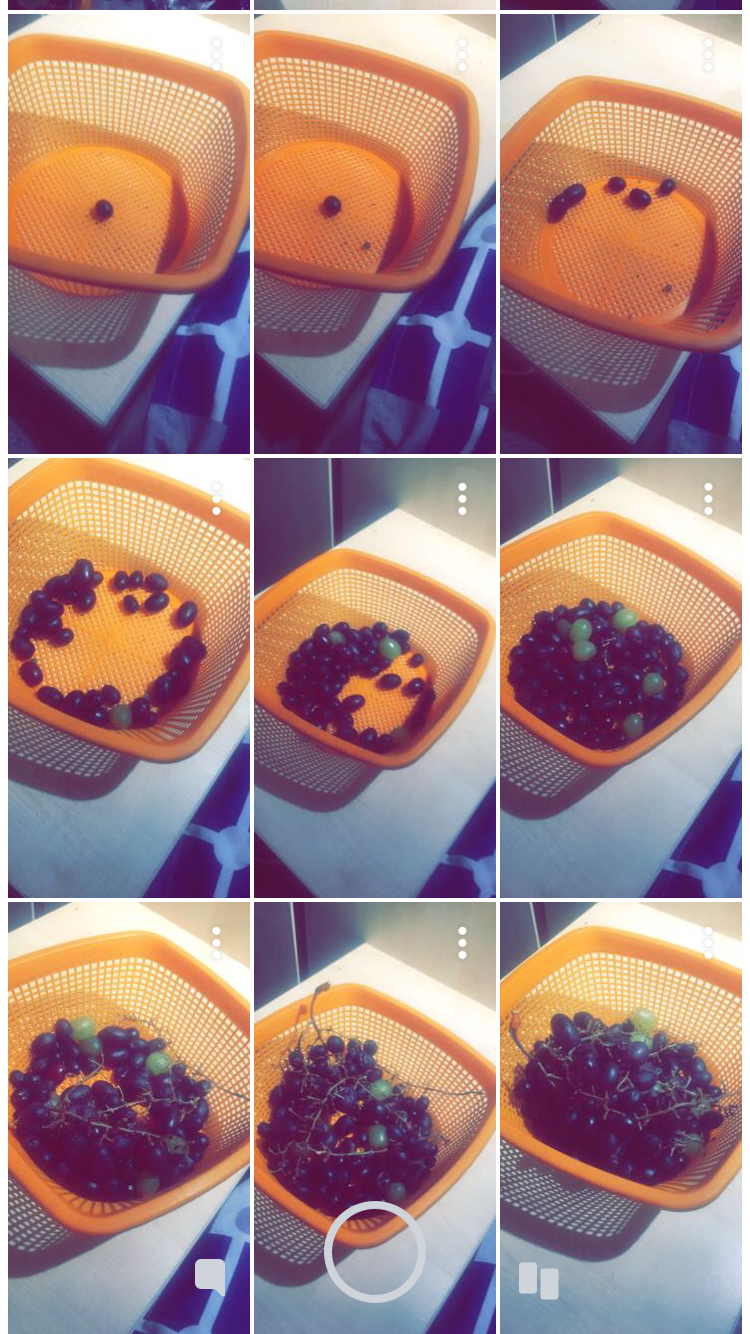 SEQUENTIAL IMAGES SAMPLE