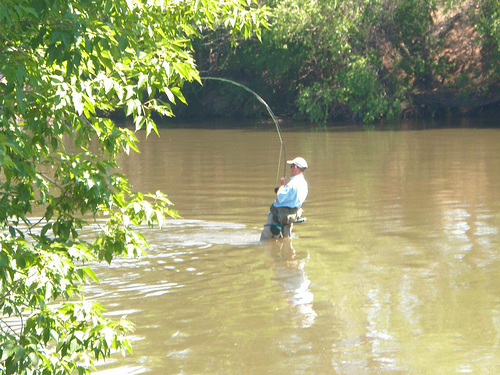 Fly-Carpin: Primordial Crust Carp Fly Now Available From MFC
