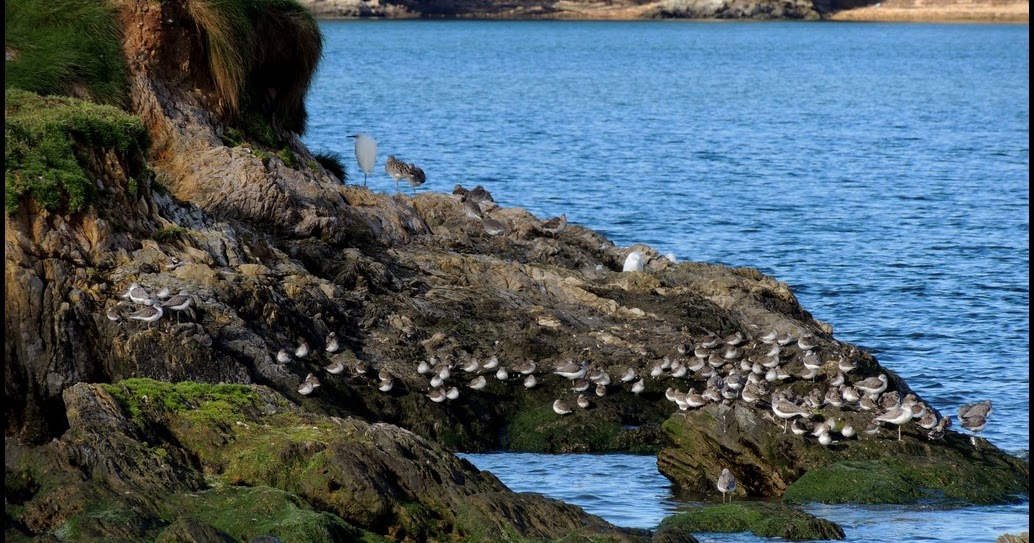 Ría de Ribadeo: Rematando a invernada na Ría de Ribadeo
