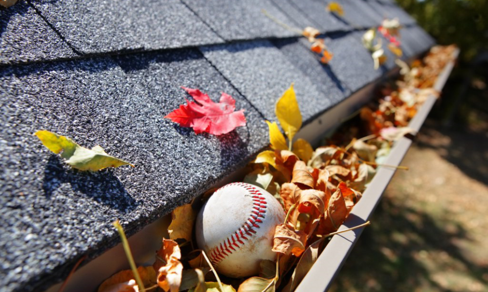 The Gutter man Michael Simone: Clean the Gutters of Your House in Easy ...