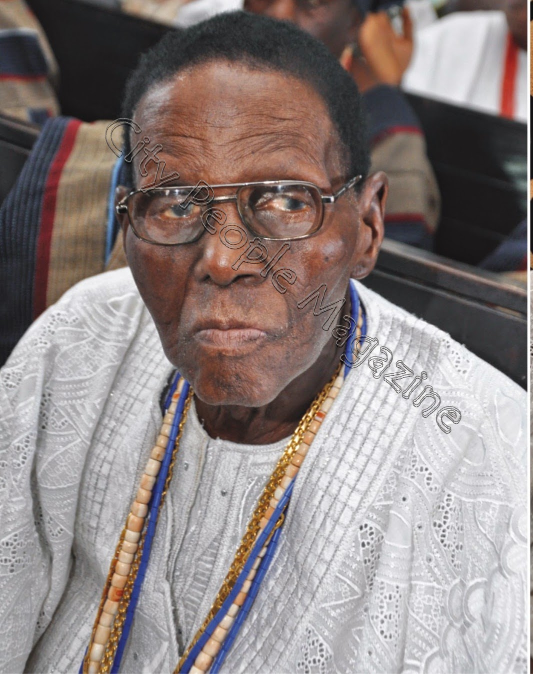 AMAZING STORIES AROUND THE WORLD: Olubadan-In-Line:"How I Became ...