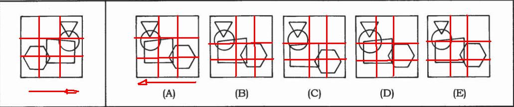 NMATreview: Tricks 2.b Perceptual Acuity ( Mirror Image)