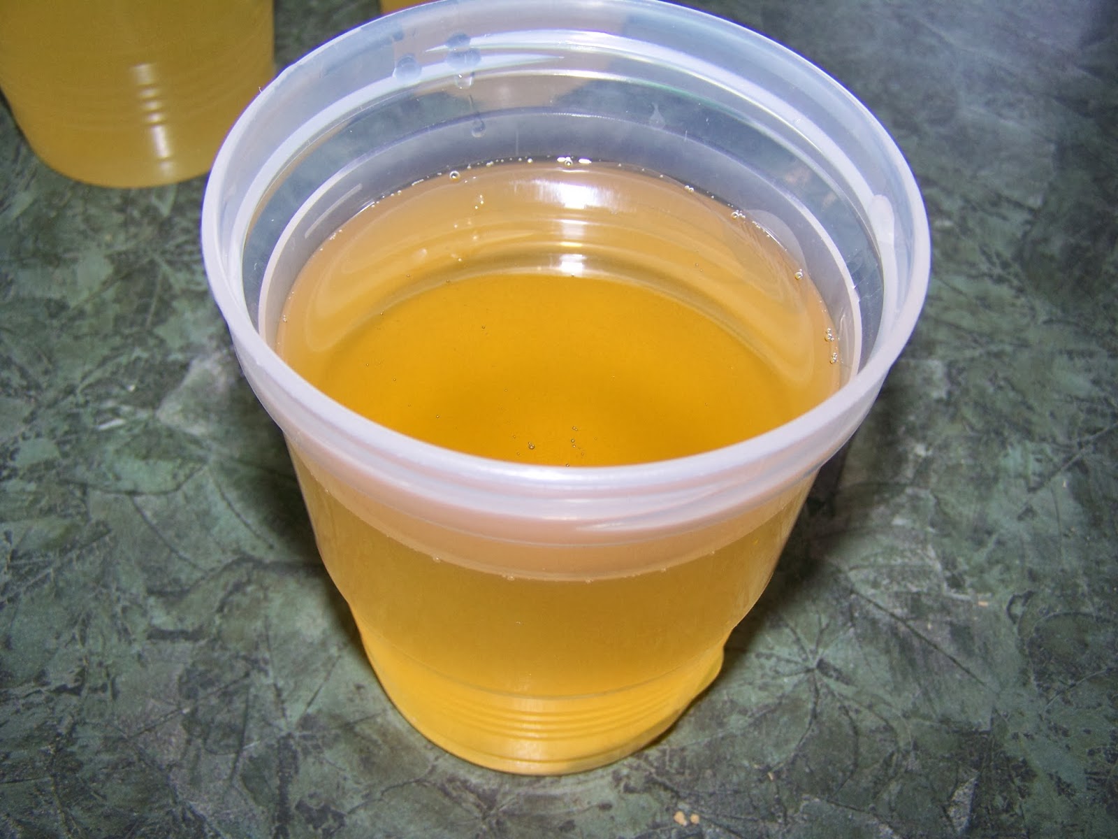 Midlife Homesteading