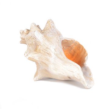 Sunshine on the Inside: A Stroll Through Kirkland's