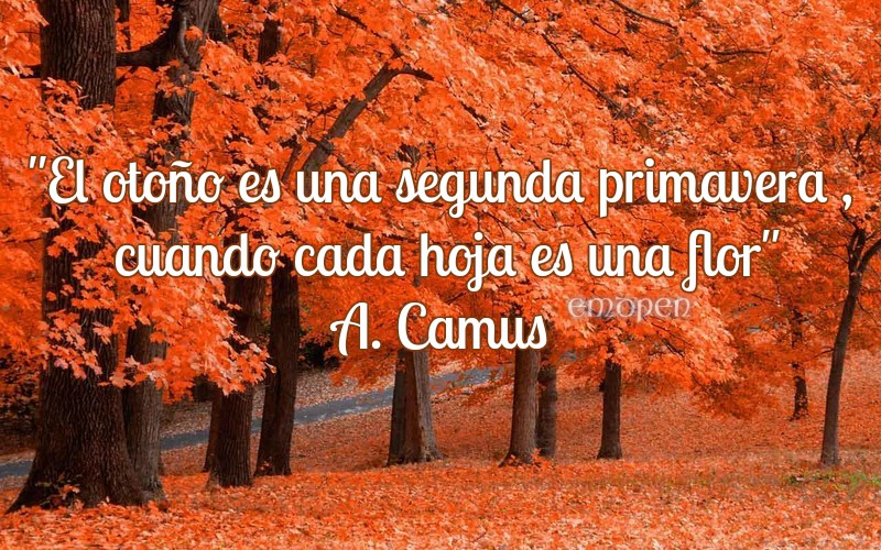 El mundo de paz en nosotros: +7 Imágenes con frases de otoño 1