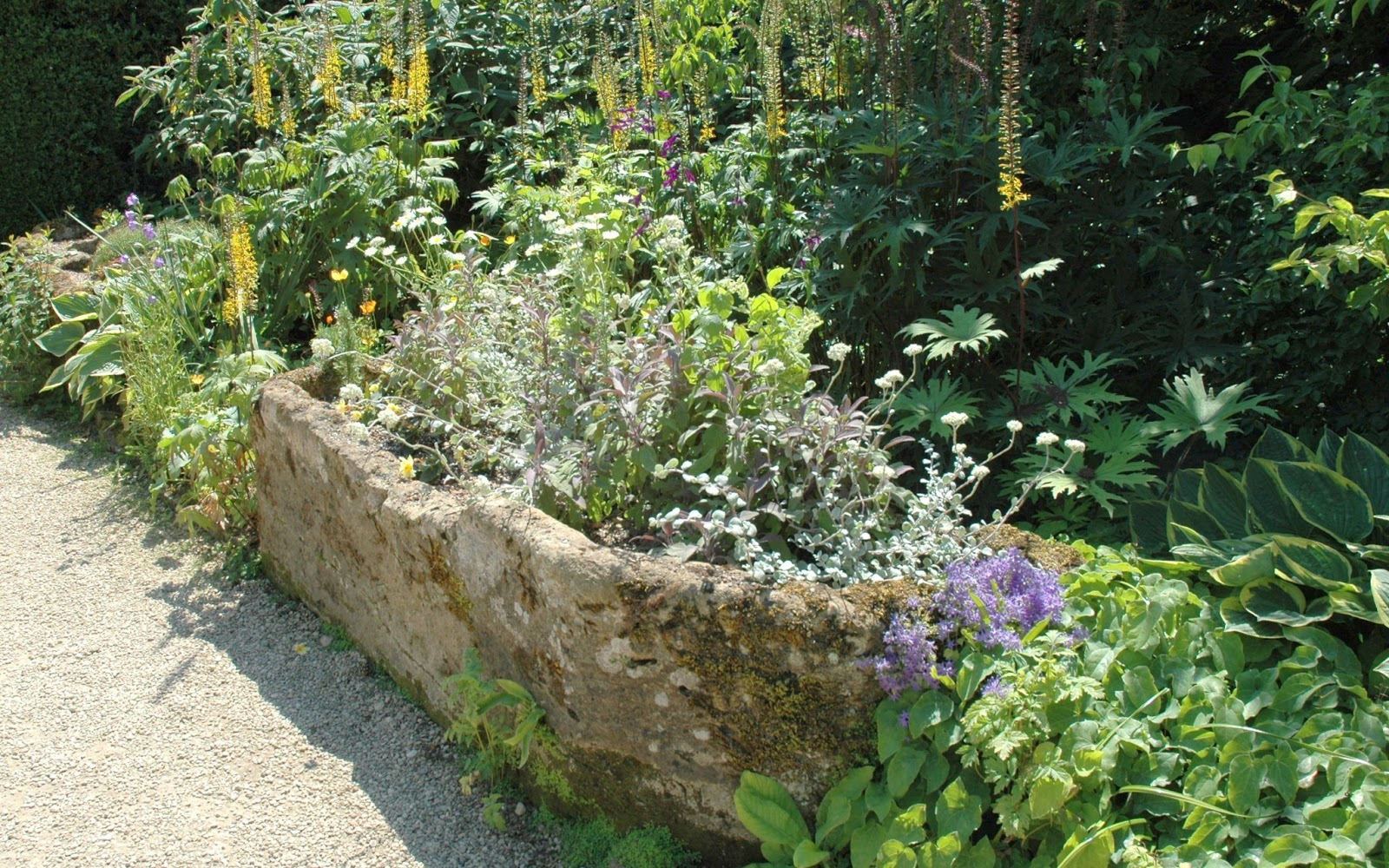 HAVETID: Engelske haver 4. del.