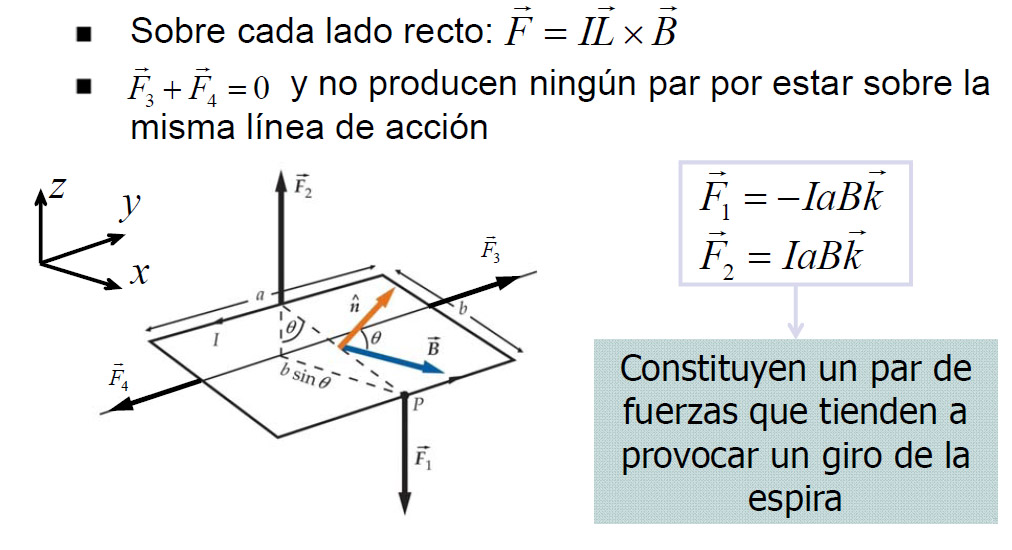 EL FÍSICO LOCO: Fuerza y momento sobre una espira