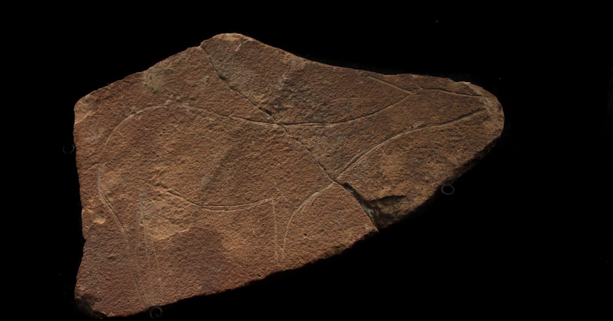 Historia del Arte: Arte Mueble