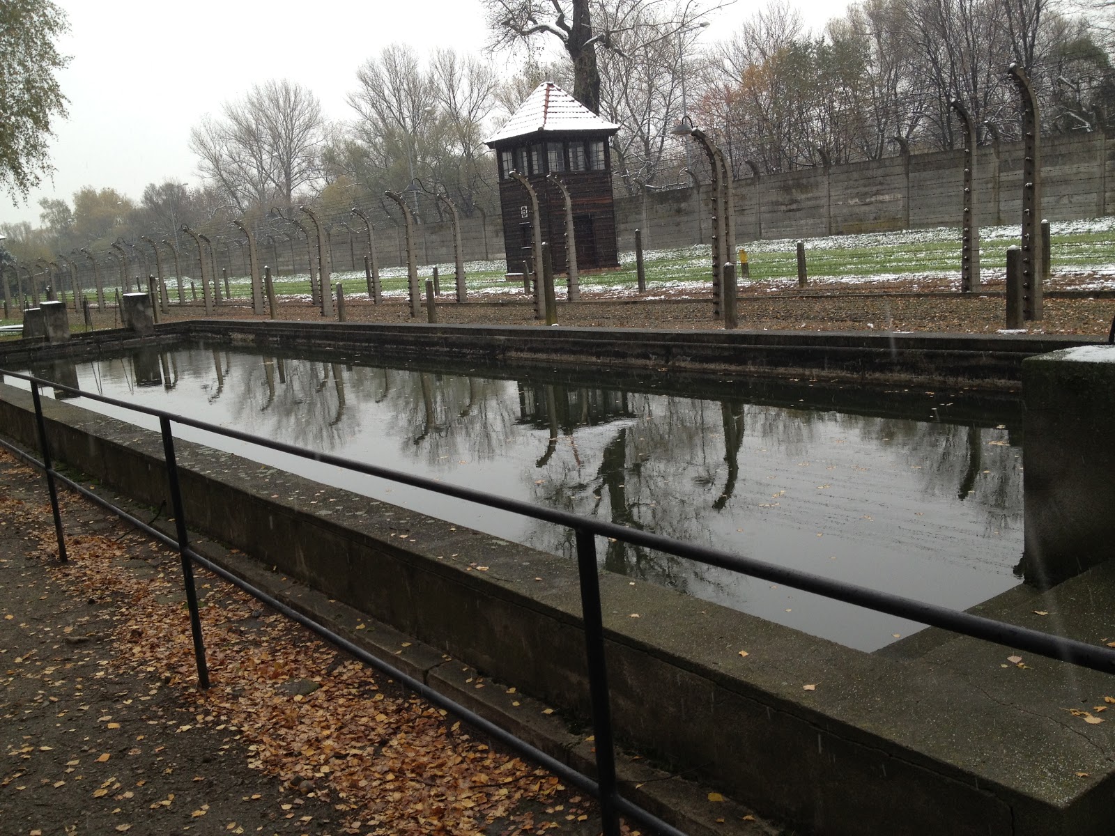 A contrarian world: My Pilgrimage To Auschwitz And The Tragic ...
