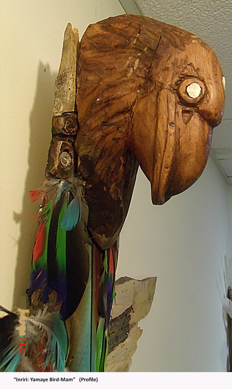 Michael Auld: Cultural Revival: The Taíno