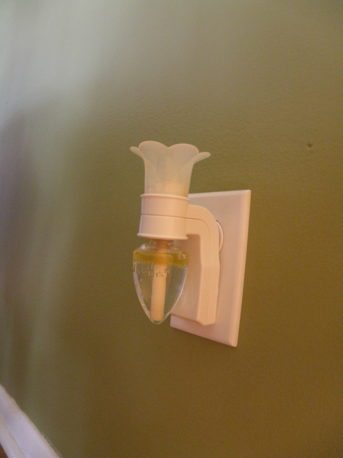 Felicity Defined: DIY Fragrance Plug-In