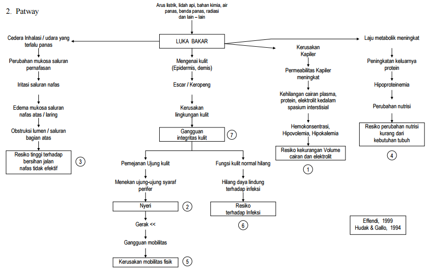 Sebait Cerita: LUKA BAKAR (COMBUSTIO)