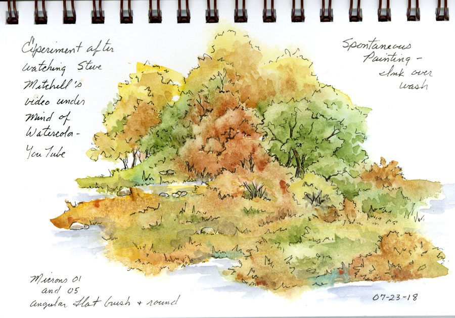 sbwatercolors and sketching: Spontaneous Painting Following Steve ...