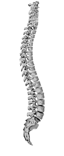 Sister Sinister Speaks On ... Things: Bionic spine, please.