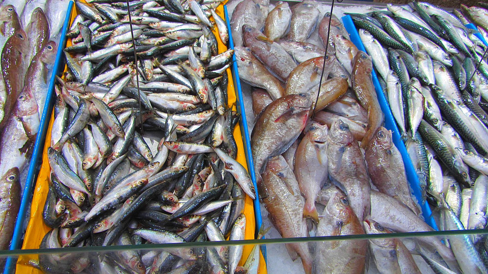 French Vocabulary Illustrated: étal