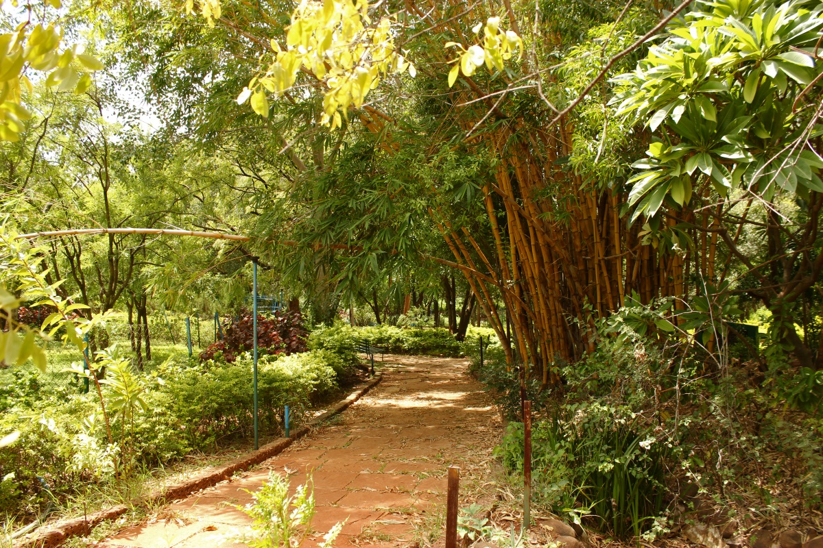 Journeys across Karnataka: Deva Deva Vana, Bidar-Zaheerabad road