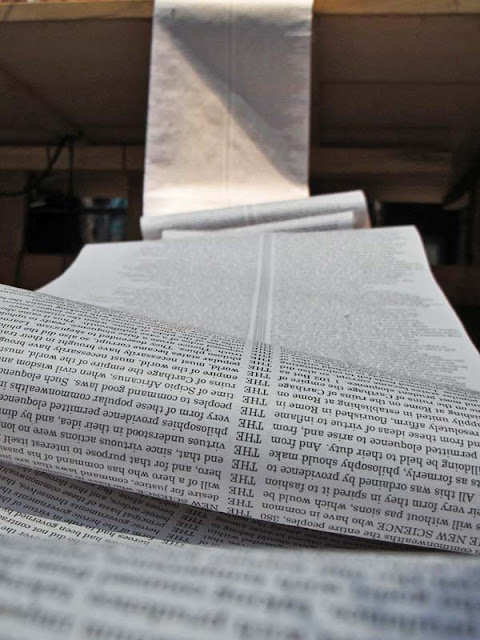 Jennifer Coyne Qudeen: Ann Hamilton's The Event of a Thread