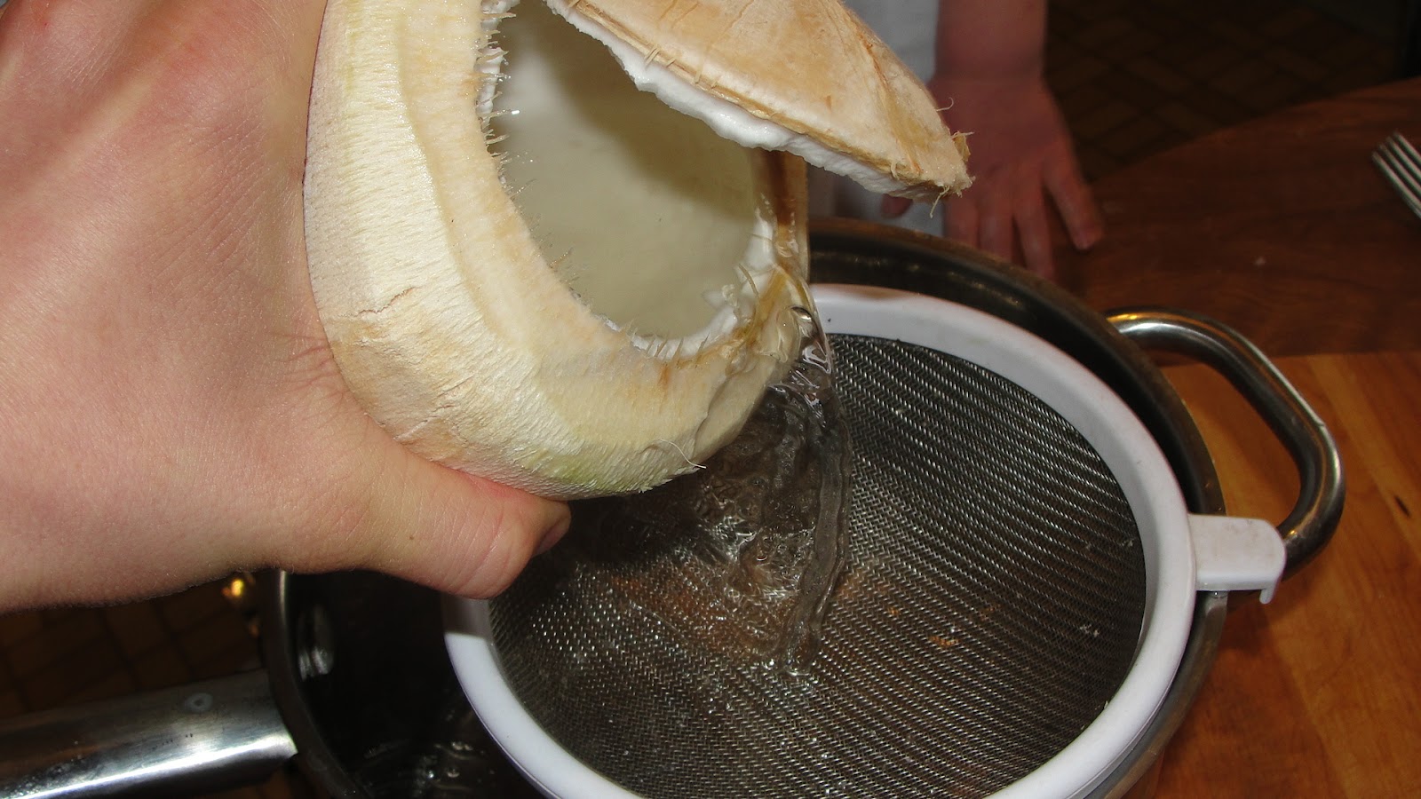 Creating The Best Life Ever: Fermented Young Thai Coconut Water Kefir