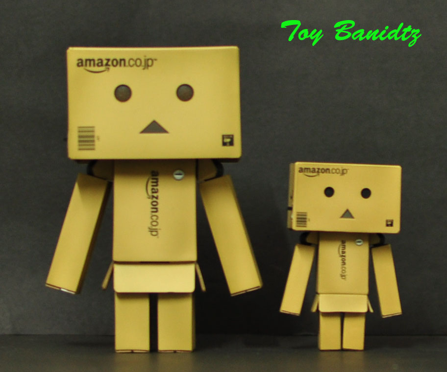 toy banditz: MINI DAN BOARD AMAZON VERSION BY REVOLTECH