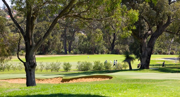 Wembley Golf Course ~ Golf Course News