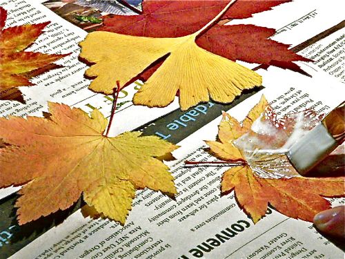 Allred Design Blog: Inspired by Pinterest: Crafting with Fall Leaves