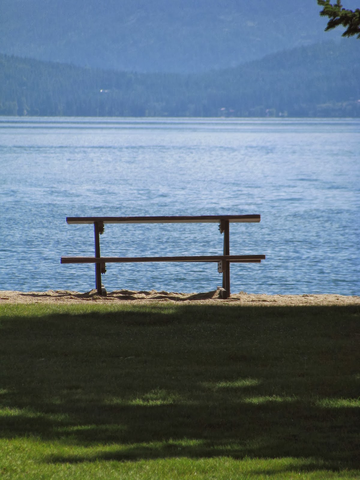 Panhandle Moss and the Pend Oreille Paddler