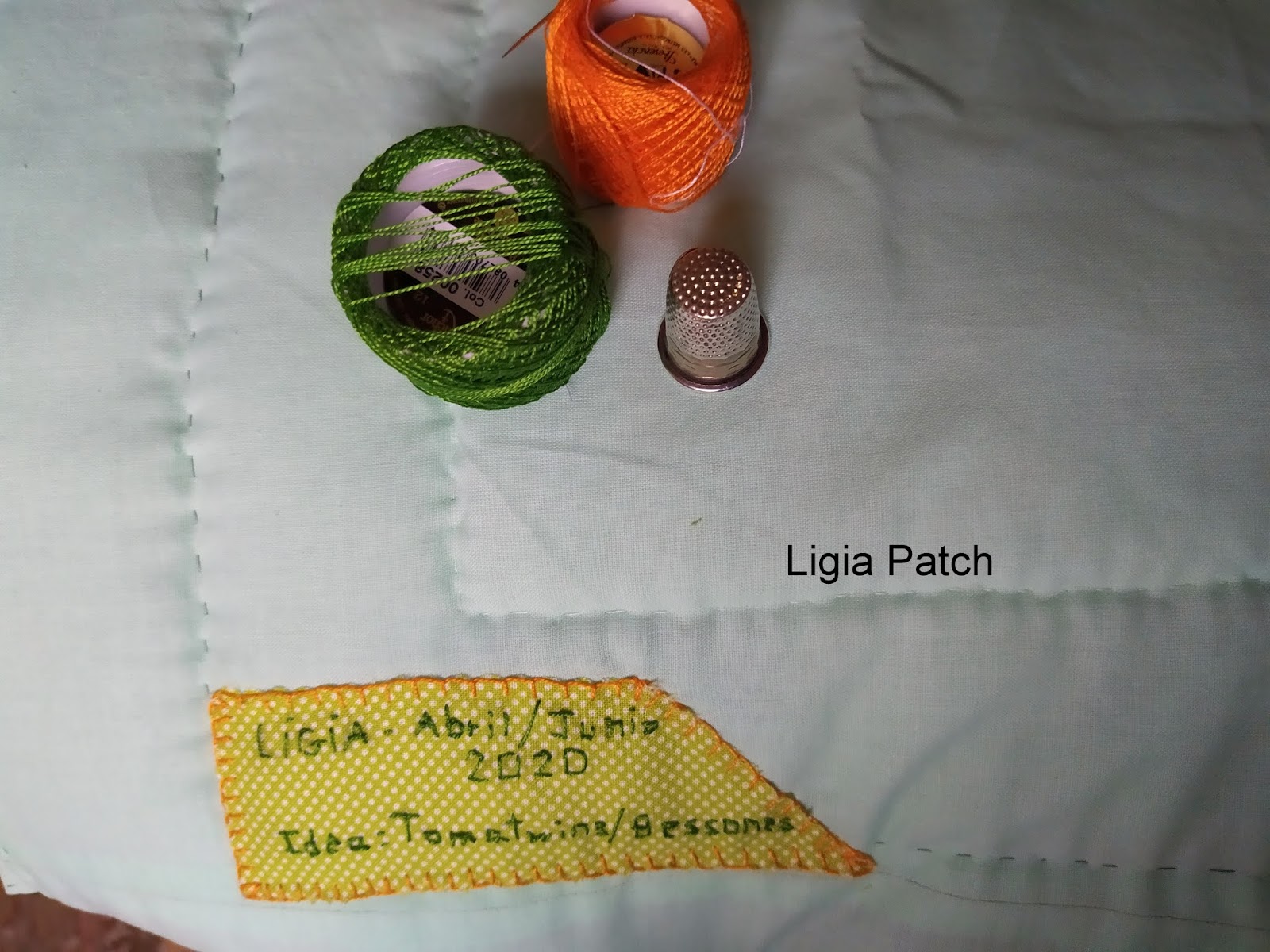 Ligia Patch: agosto 2020