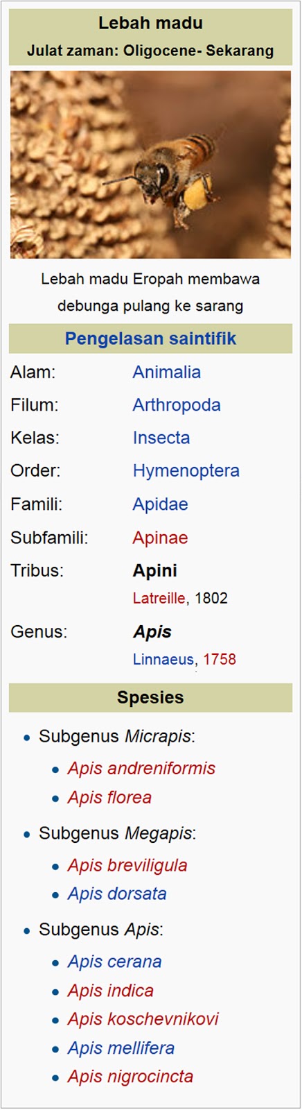 SABRI PEST CONTROL: LEBAH ( BEE )