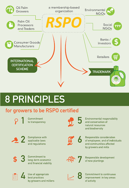 All about Palm Oil: Roundtable on Sustainable Palm Oil / RSPO