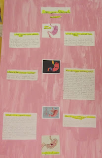 Room 13: Organs of the Human Body Science Projects - Grade 5