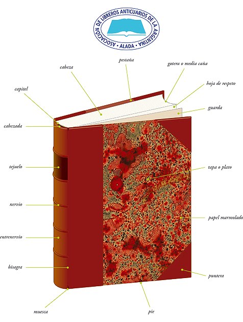 Imagene las partes de un libro - Imagui